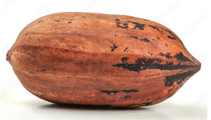 Shop Texas Pecan Cakes – Gift The Cake Texans Are Nuts About!